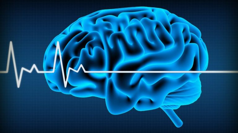 Brain death: Kerala doctors can take brain-dead patients off life ...