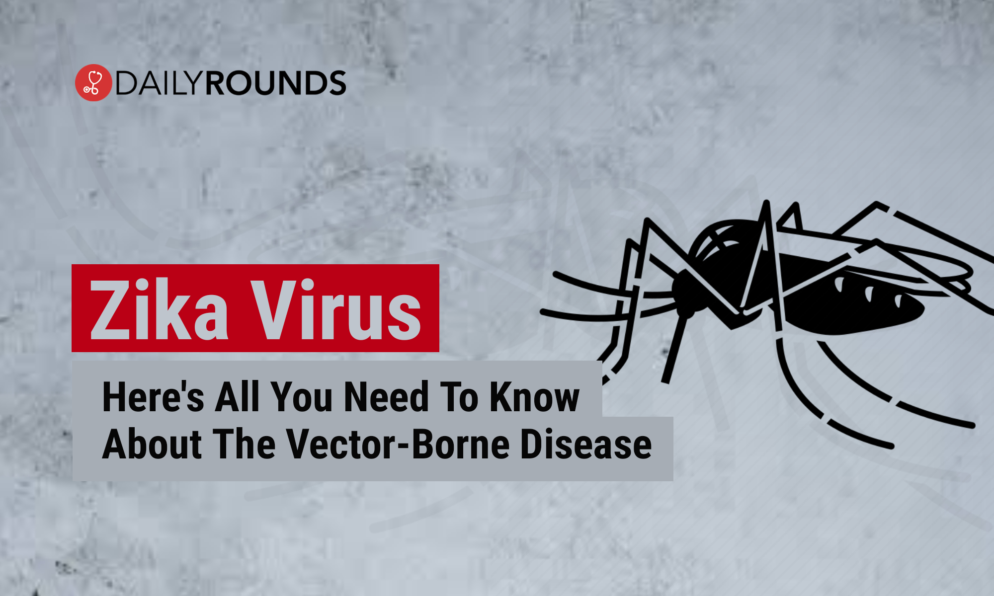 Zika Virus: Here’s All You Need To Know About The Vector-Borne Disease ...